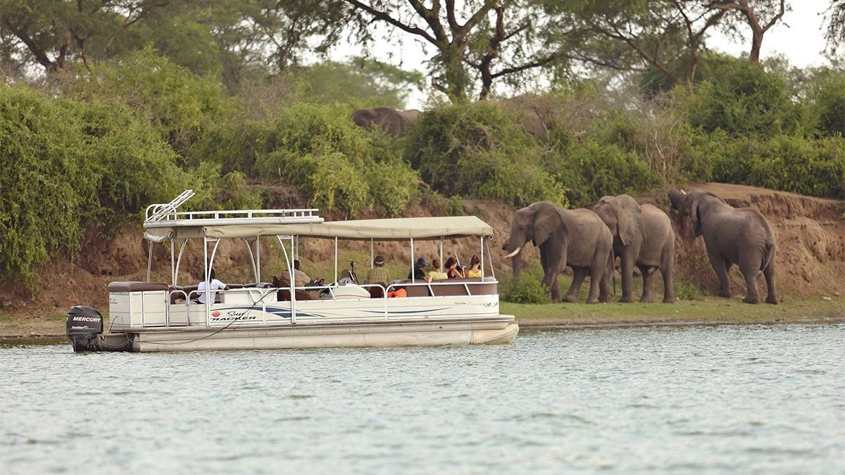 Boat Safari on Kazinga Channel | Queen Elizabeth National Park